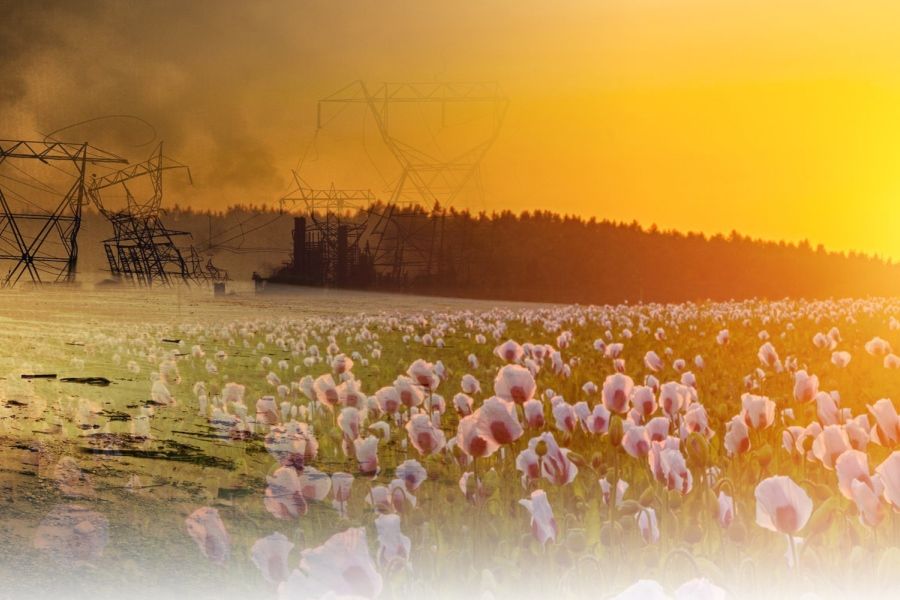 Apocalypse in the Bible