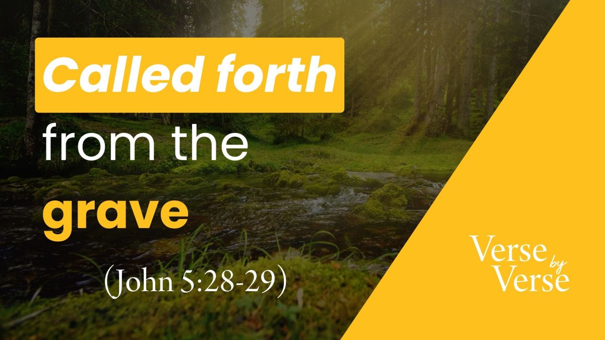 All Who Are in the Graves Will Hear His Voice (John 5:28-29)