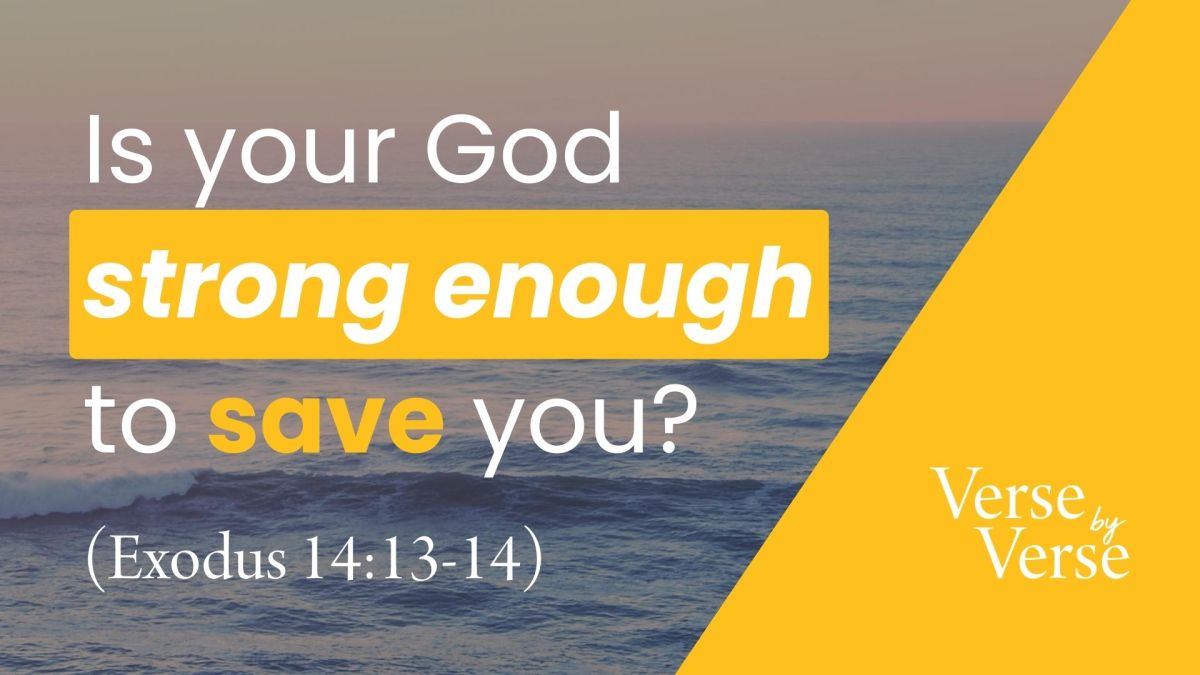 Stand Still and See the Salvation of the Lord (Exodus 14:13-14)