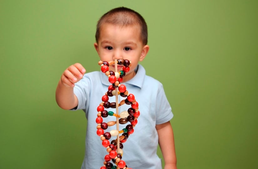 DNA: God’s Information Code