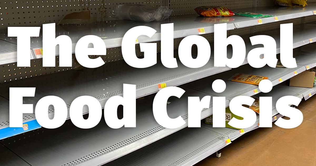 The Global Food Crisis