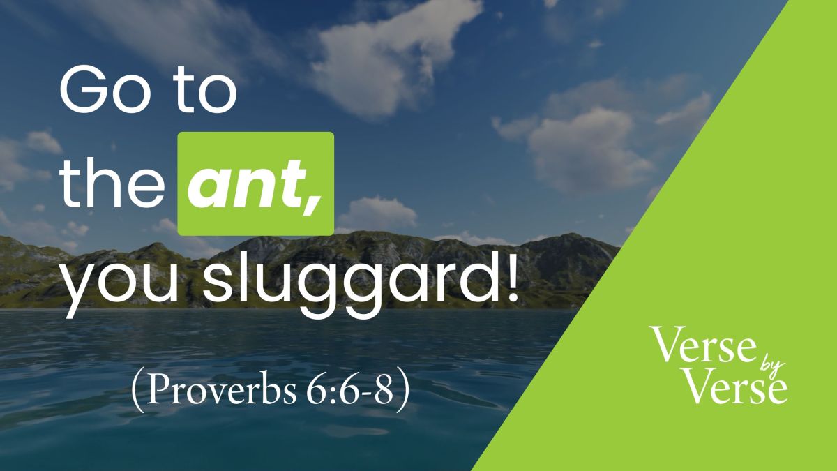 Go to the Ant, You Sluggard! (Proverbs 6:6-8)