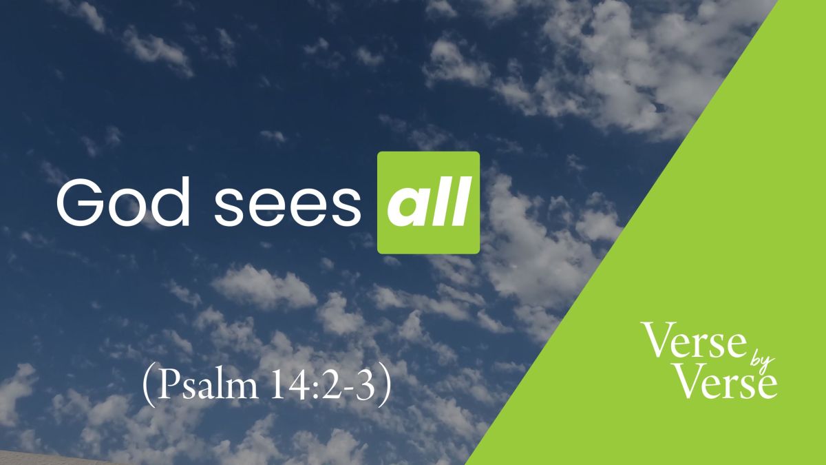 God Sees All (Psalm 14:2-3)