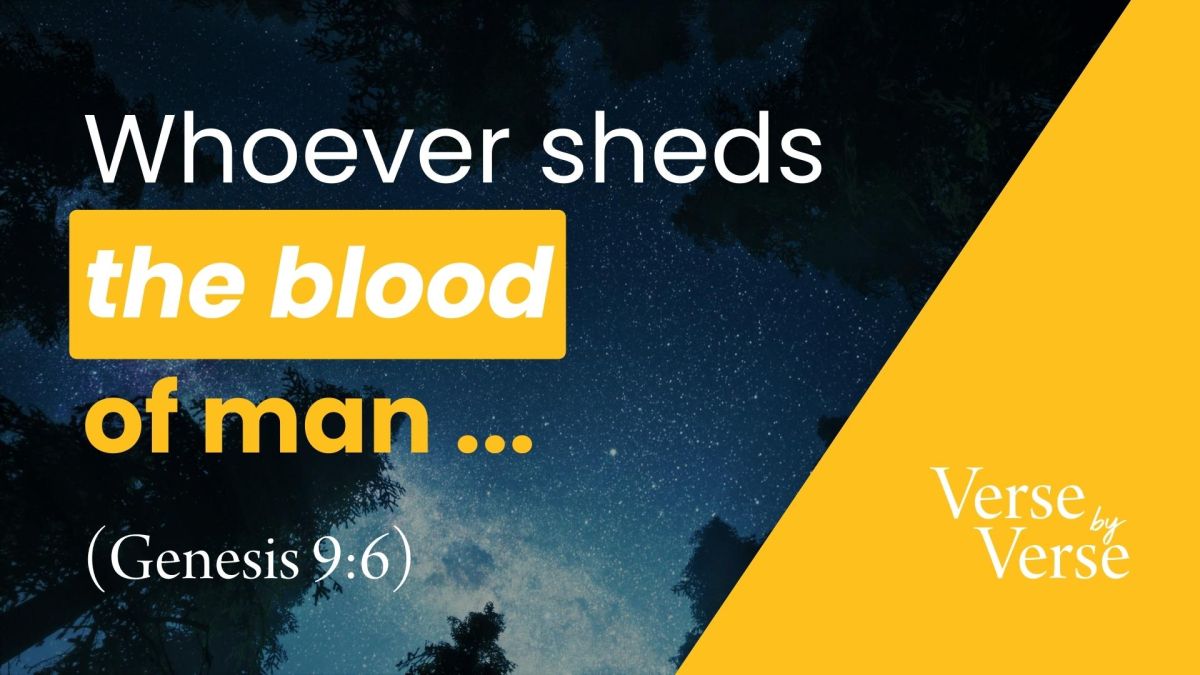 The Value of Human Life (Genesis 9:6)