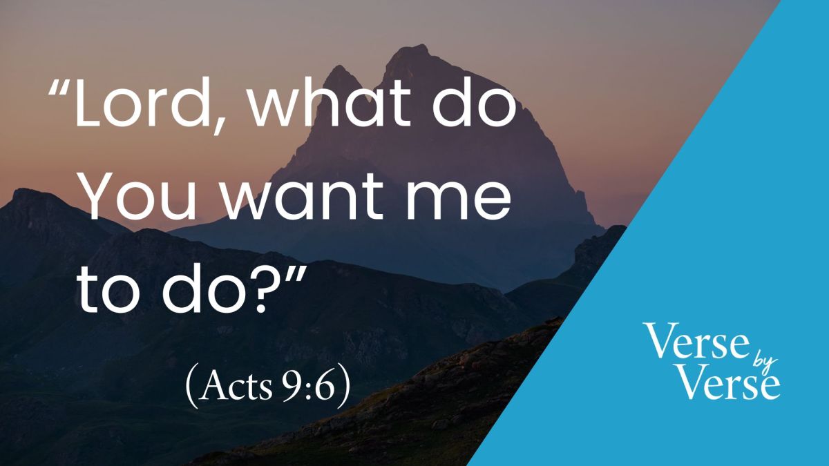 “Lord, What Do You Want Me to Do?” (Acts 9:6)