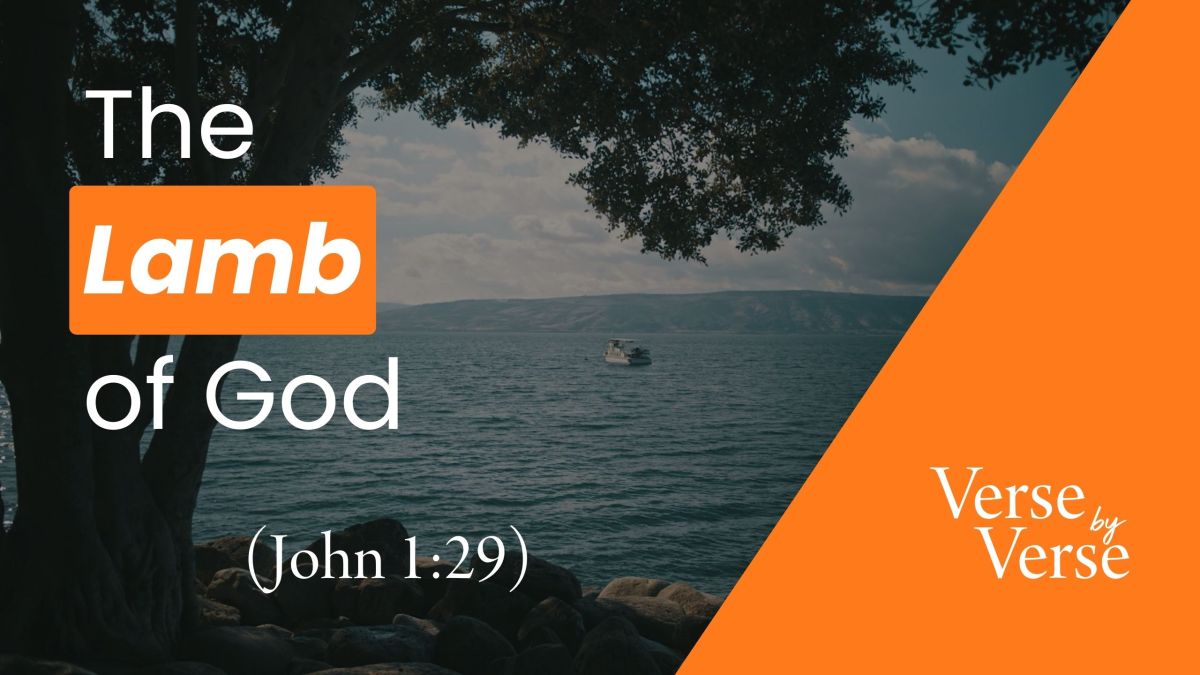 The Lamb of God (John 1:29)