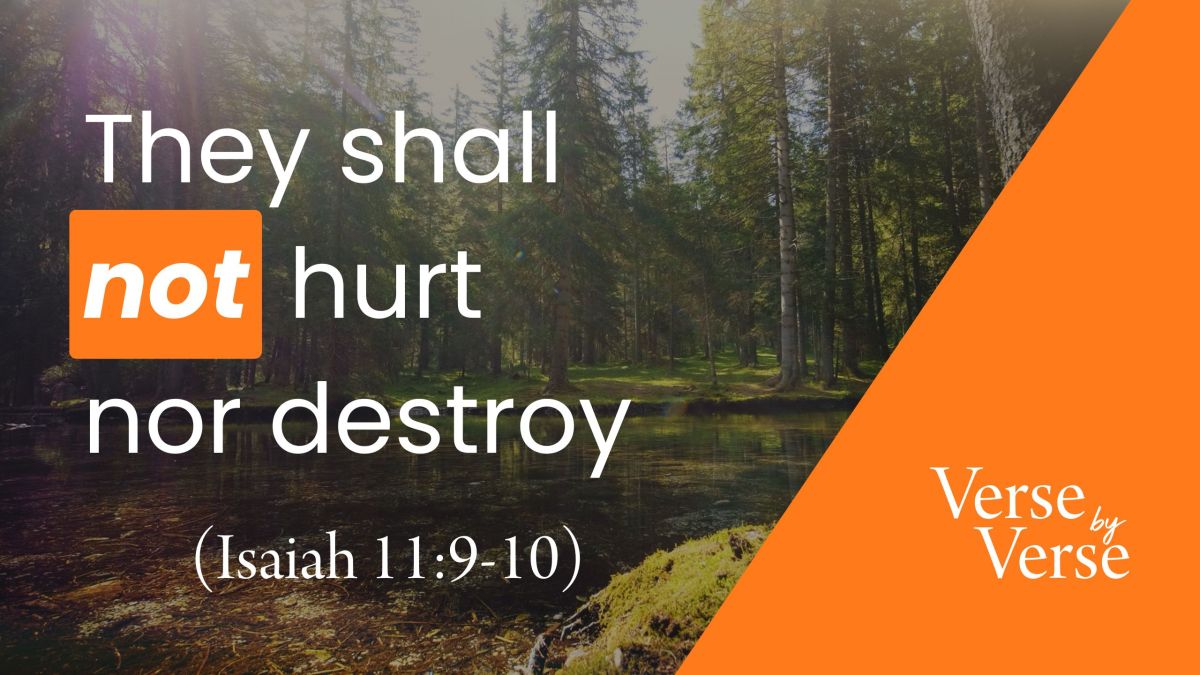 They Shall Not Hurt nor Destroy (Isaiah 11:9-10)