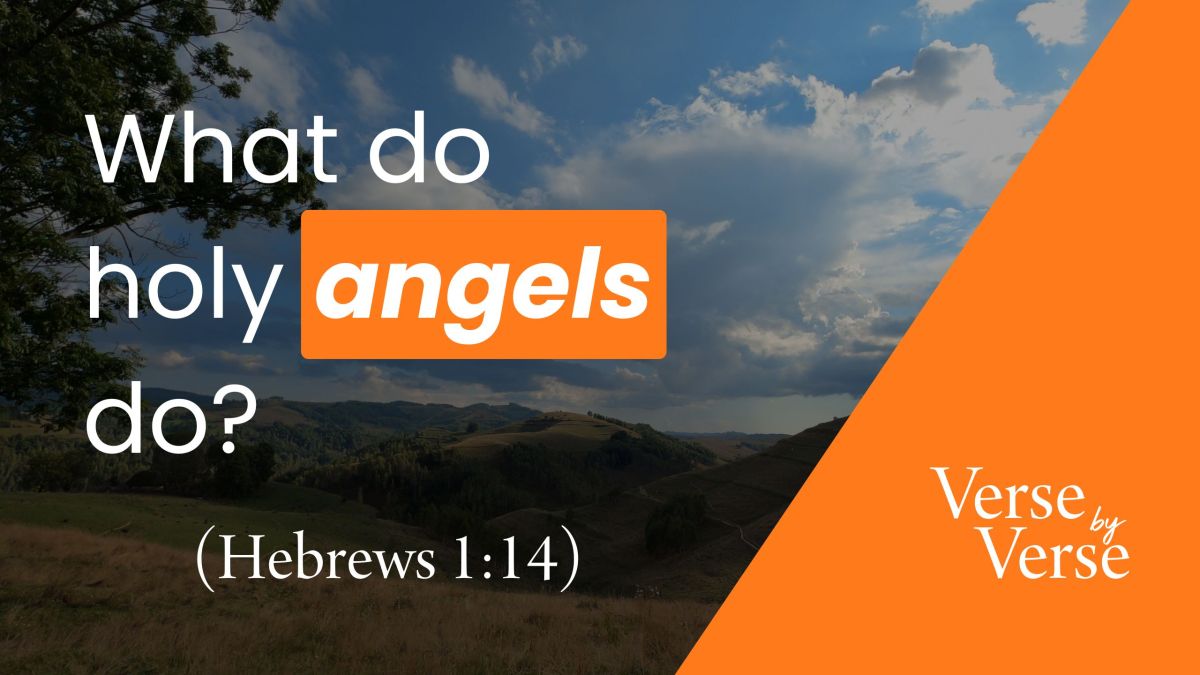 What Do Holy Angels Do? (Hebrews 1:14)