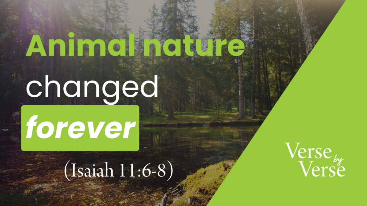 The Wolf Also Shall Dwell With the Lamb (Isaiah 11:6-8)