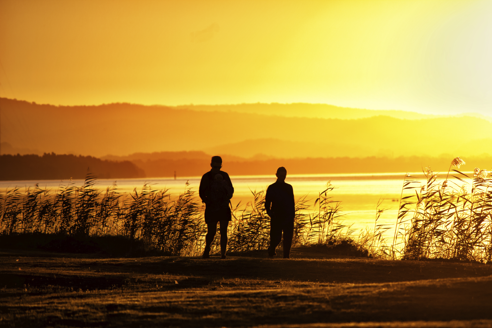 What Was The Transfiguration Of Jesus Christ Meaning And Jesus ...